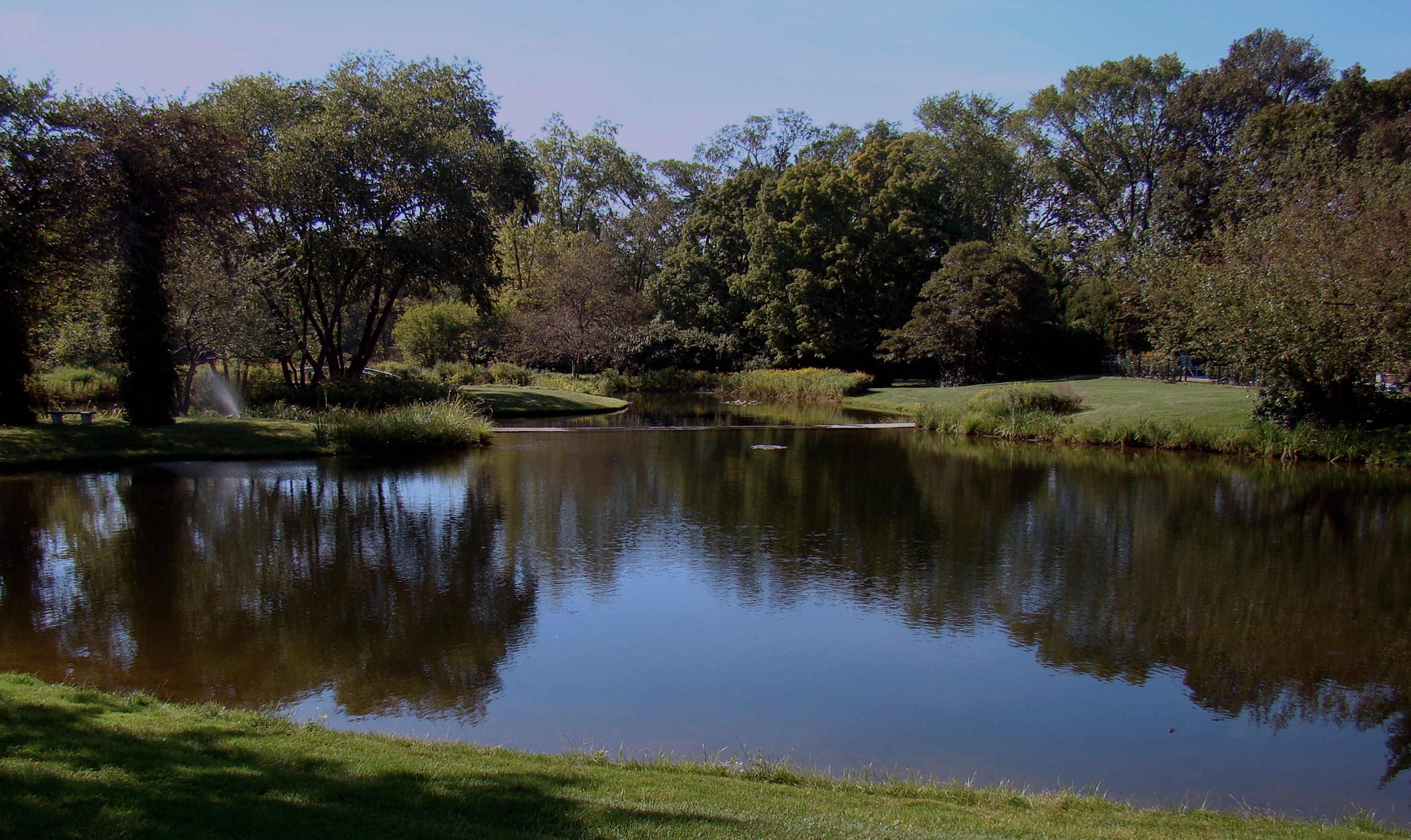 Beautiful Ponds In The Woods