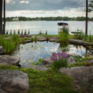 How To Make A Natural Swimming Pool - Step By Step Guide