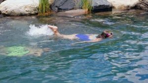 How to Build a Green Swimming Poo | Reflections Water Gardens