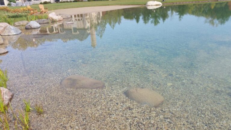 Backyard Pond with Natural Swimming Pool and Beach - Reflections Water ...
