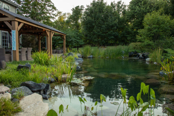 The Environmental Benefits Of Building A Natural Pool - Reflections ...